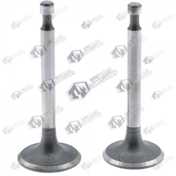 Supape Honda GX 160, GX 200 Set